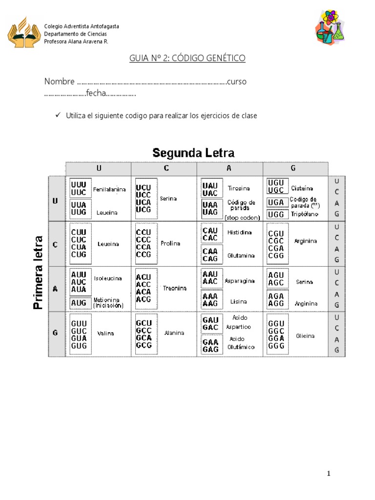 GUIA #2 Codigo Genetico | PDF | Estudios de idiomas extranjeros