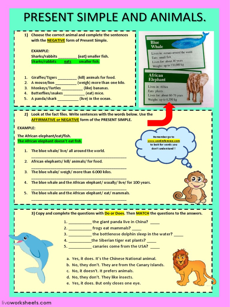 Present Simple and Animals. Unit 3: Remember Go To To Look For Words ...
