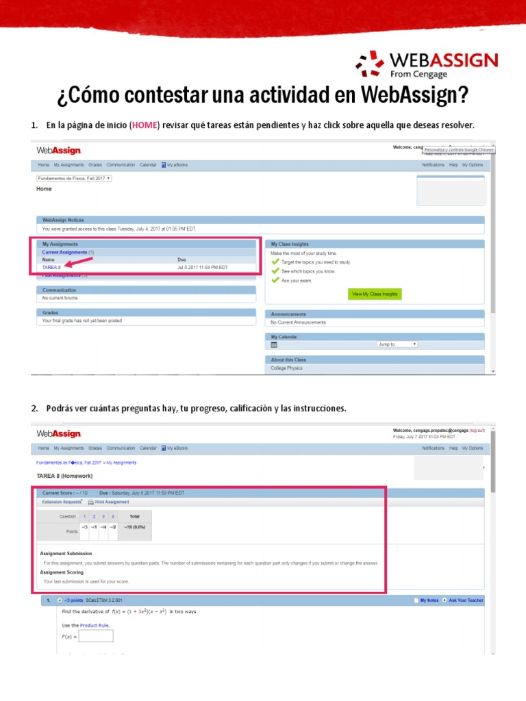 Cómo usar WebAssign para tareas | PDF