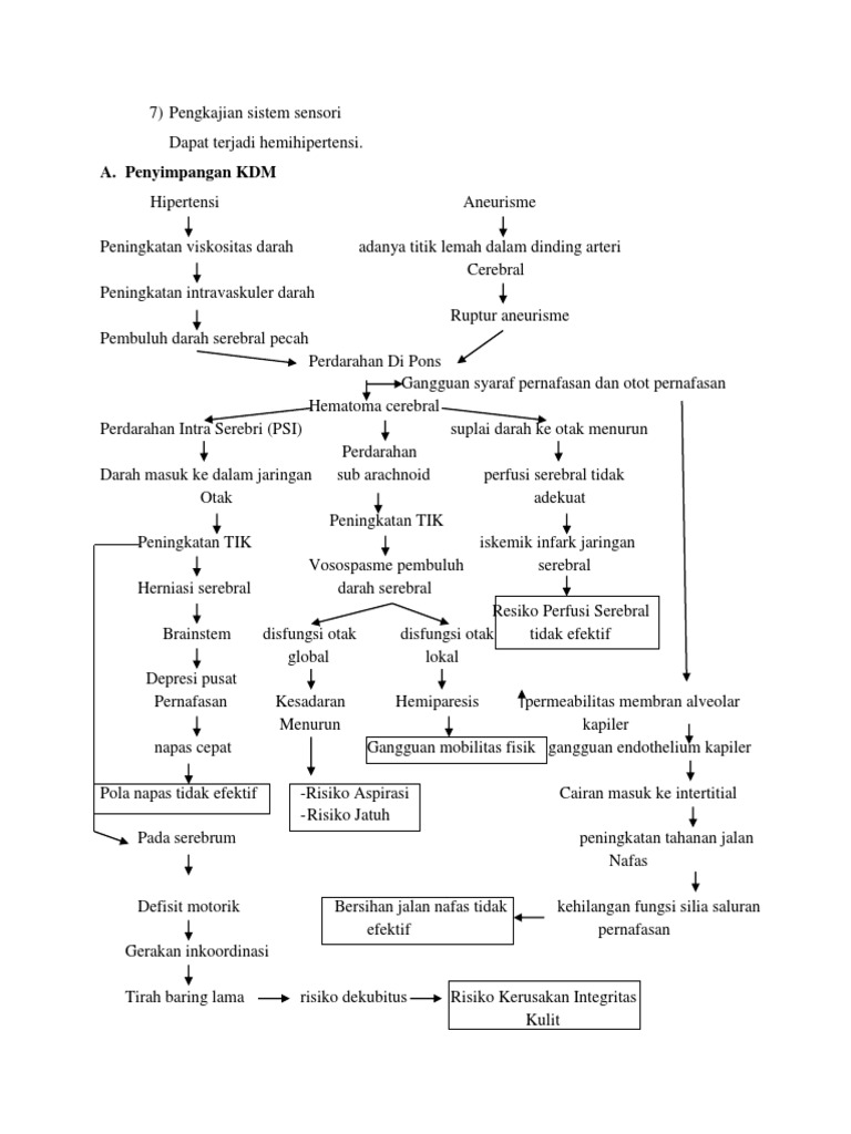 Pathway Stroke Hemoragik | PDF