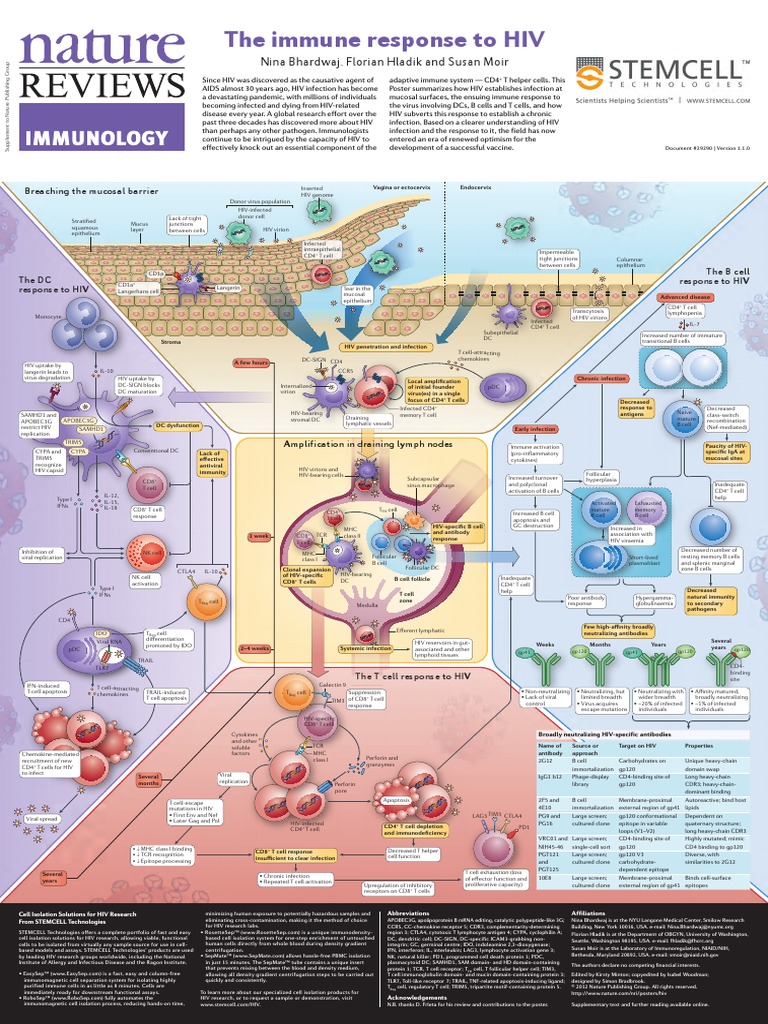WA10015-Immune Response HIV PDF | PDF | T Helper Cell | Cytotoxic T Cell