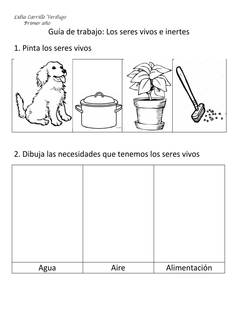 Guía de Trabajo. Seres Vivos e Inertes | PDF