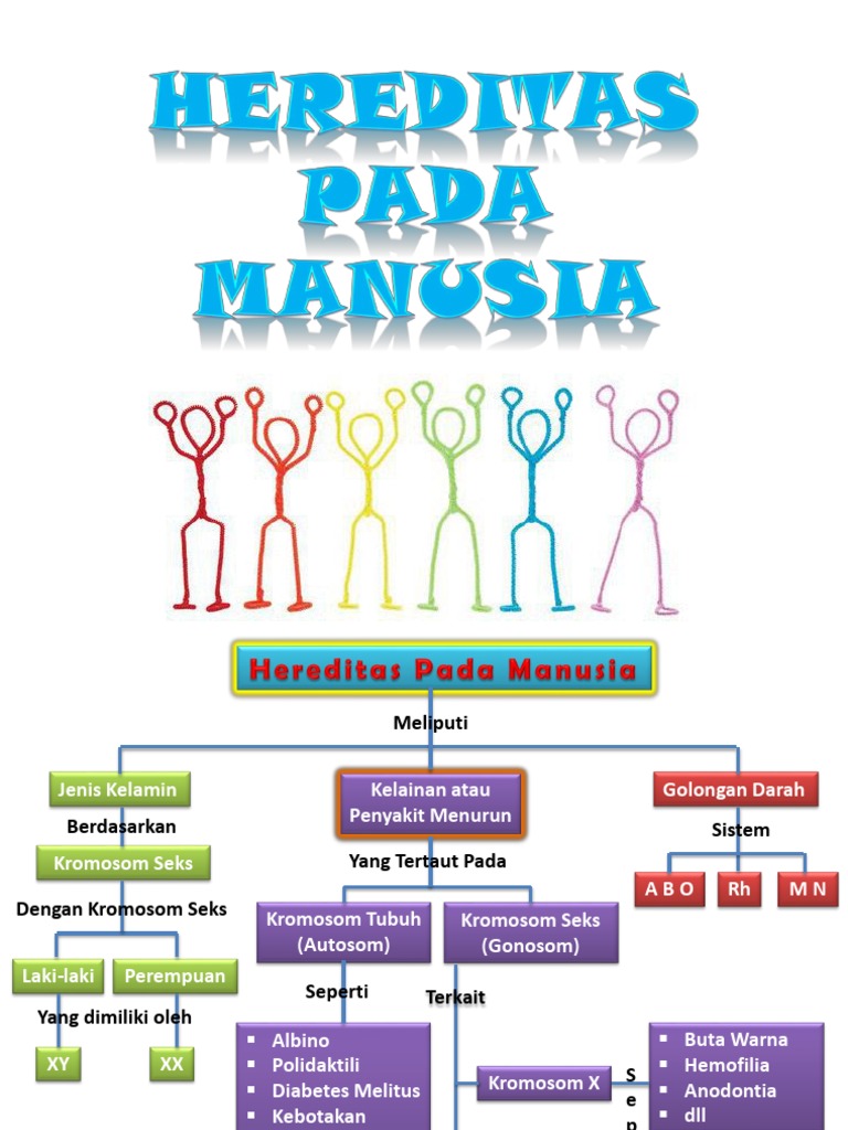 Hereditas Pada Manusia | PDF