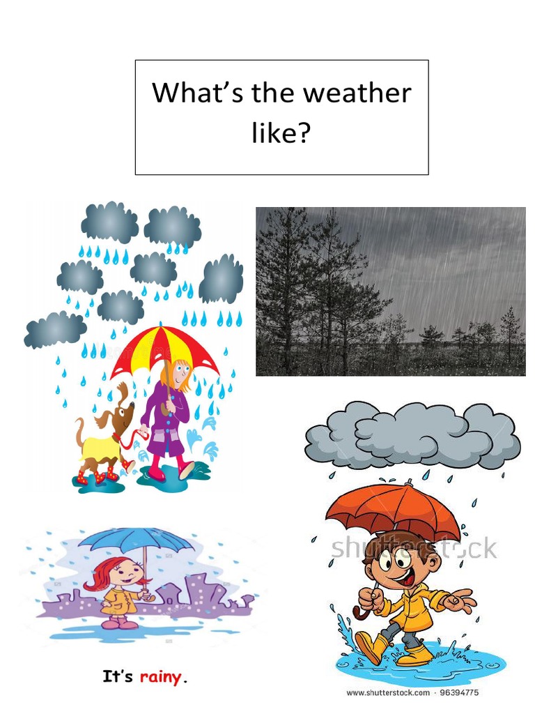 The Weather | PDF