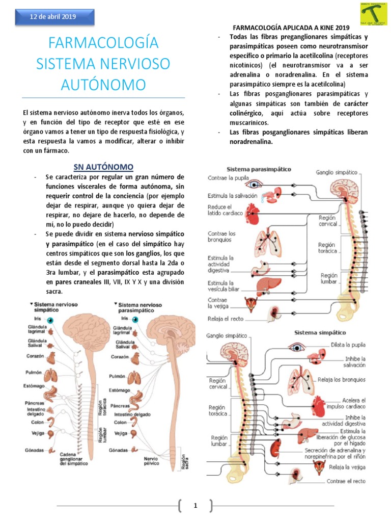 Farmacología Sistema Nervioso Autónomo | Dopamina | Acetilcolina
