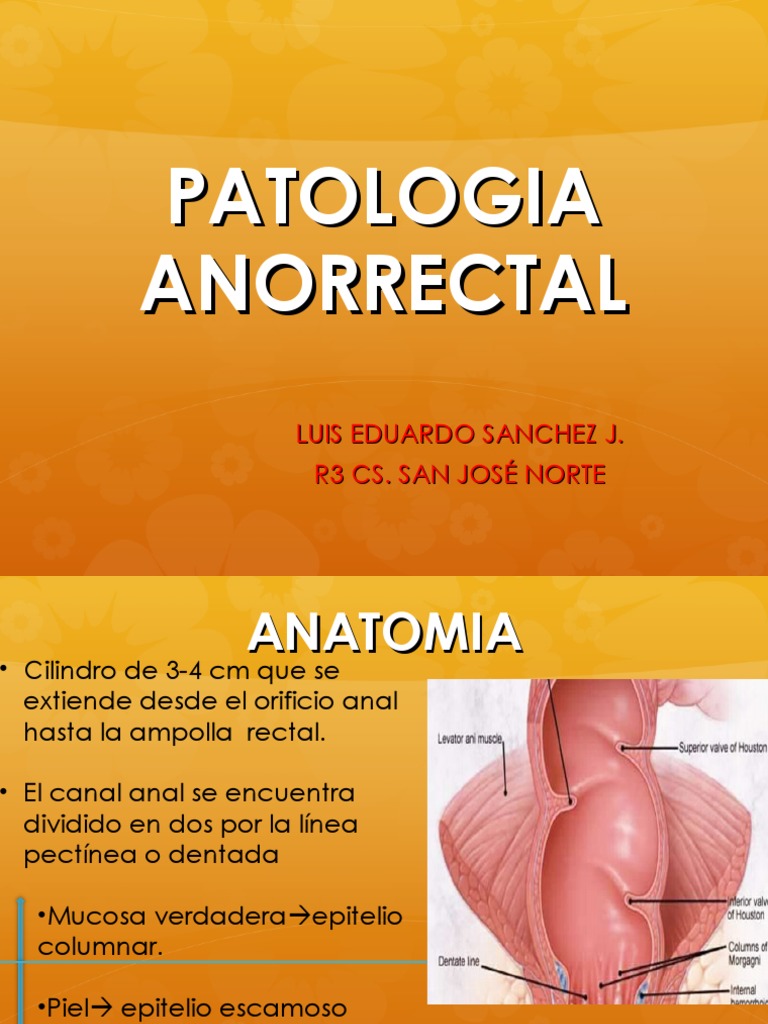 Patologia Anorrectal | PDF | Hemorroides | Pelvis