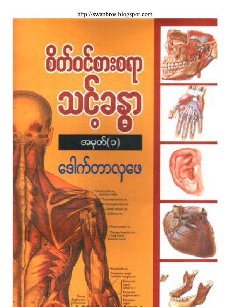 Dr. Hla Phay - Sait-Win-Sar-Sa-Yar-Thint-Body | PDF