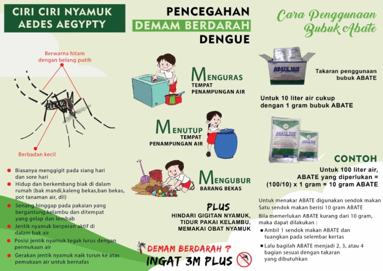 Leaflet DBD 2