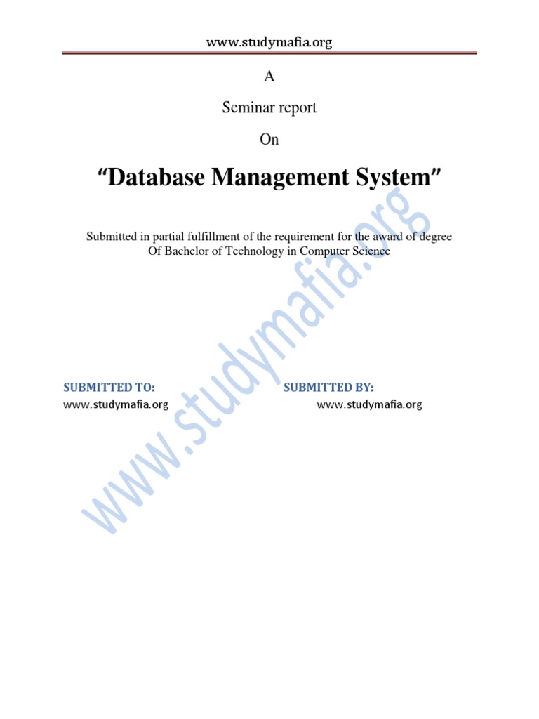 CSE Idatabase Management System Report PDF | PDF | Relational Model | Databases