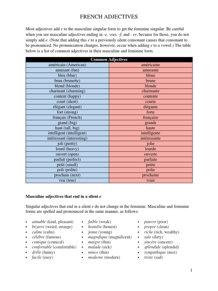 French Adjectives | PDF | Semantics | Onomastics