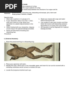 Toad Dissection Guide | PDF