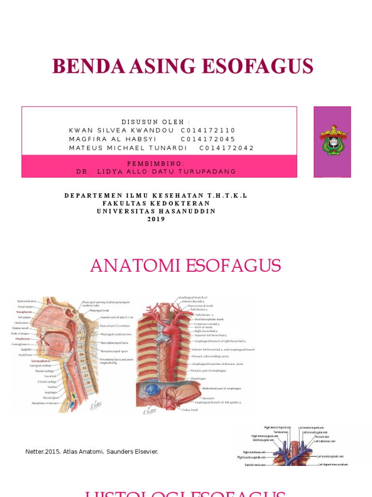 Benda Asing Esofagus | Gastroenterology | Medicine