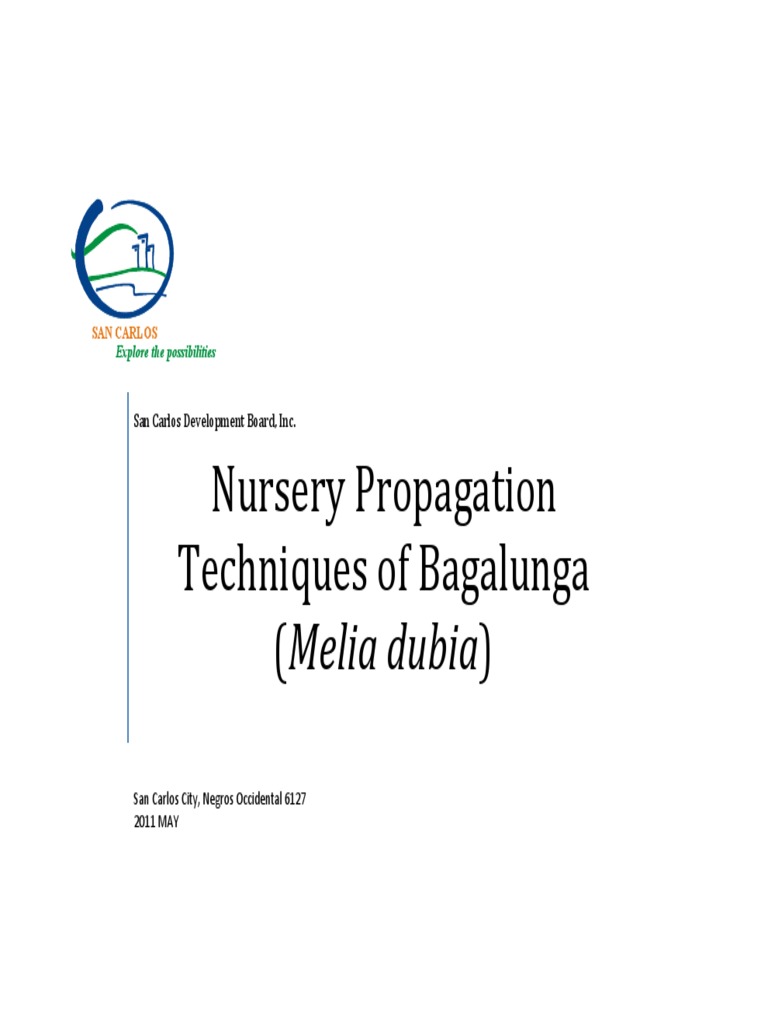 Nursery Propagation Technique of Bagalunga | PDF | Plant Nursery | Sowing