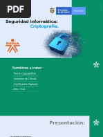 Elementos de Criptografia | PDF | Clave (criptografía) | Criptoanálisis