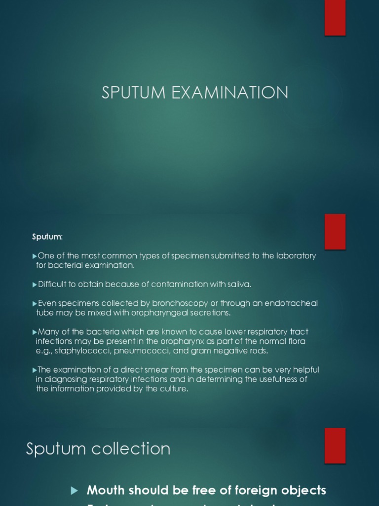 Sputum | PDF | White Blood Cell | Mucus