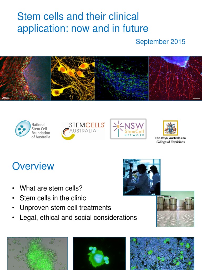 Stem Cell Presentation Revised September 2015 | PDF | Stem Cell | Cell Potency