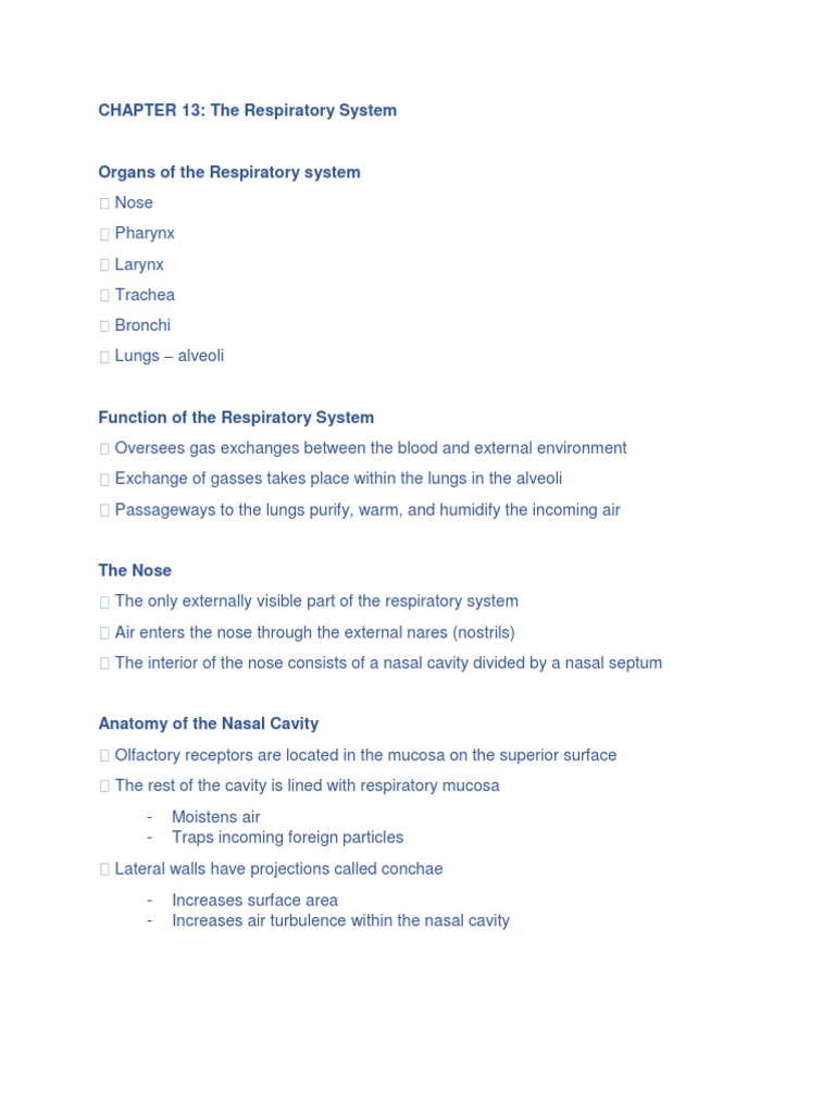 CHAPTER 13: The Respiratory System | PDF | Lung | Respiratory Tract