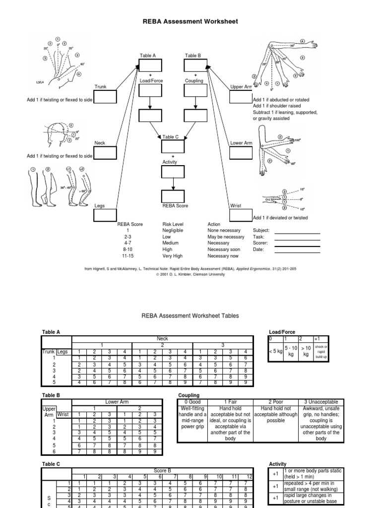 REBA Assessment Worksheet Guide | PDF | Anatomical Terms Of Motion