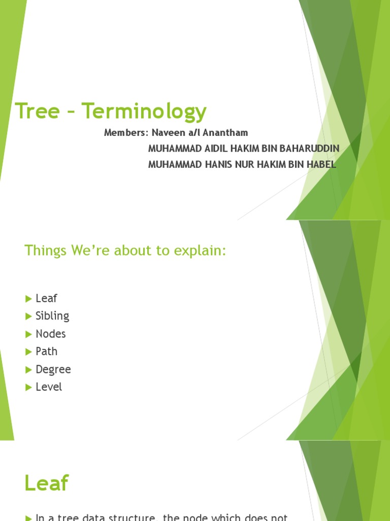 Tree - Terminology: Members: Naveen A/l Anantham Muhammad Aidil Hakim ...