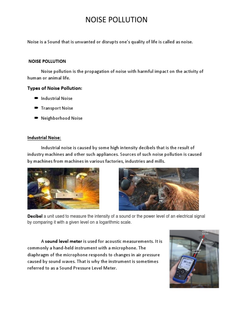 Noise Pollution | PDF | Sound | Pollution