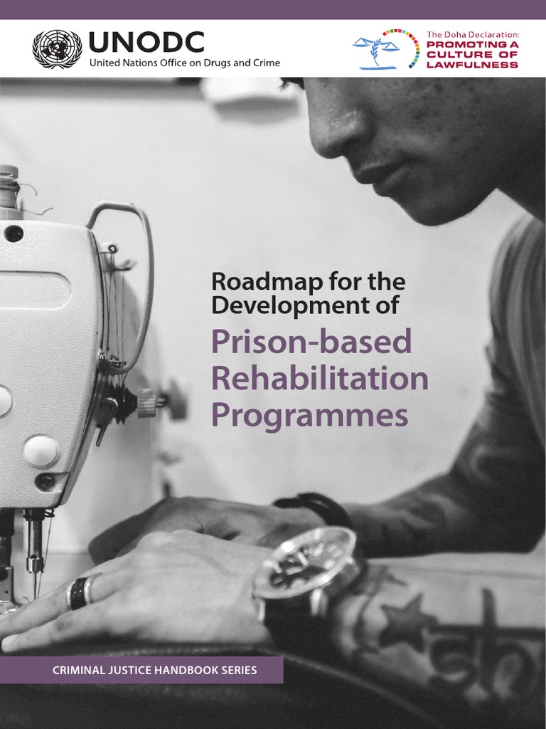 Roadmap For The Development of Prison-Based Rehabilitation Programmes ...