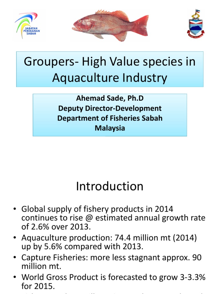 Groupers-High Value species in Aquaculture Industry | Aquaculture ...
