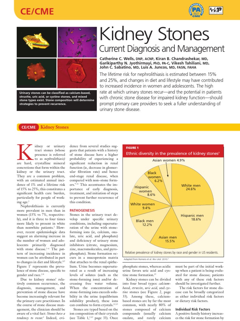 Kidneystones 02012012 PDF | PDF | Diseases And Disorders | Medicine