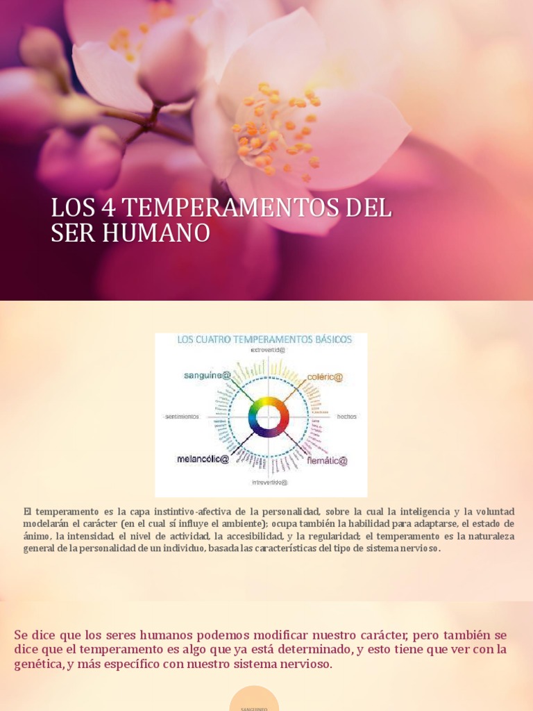 Los 4 Temperamentos Del Ser Humano Pdf Temperamento Conceptos