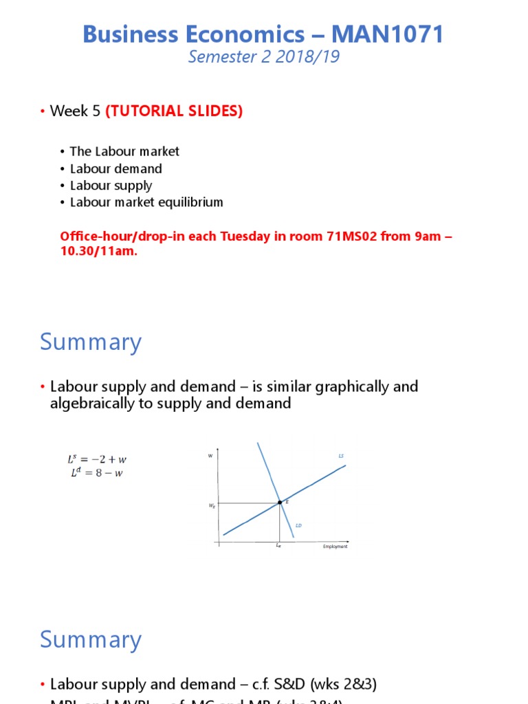 Understanding the Labour Market: Supply, Demand and Equilibrium | PDF ...