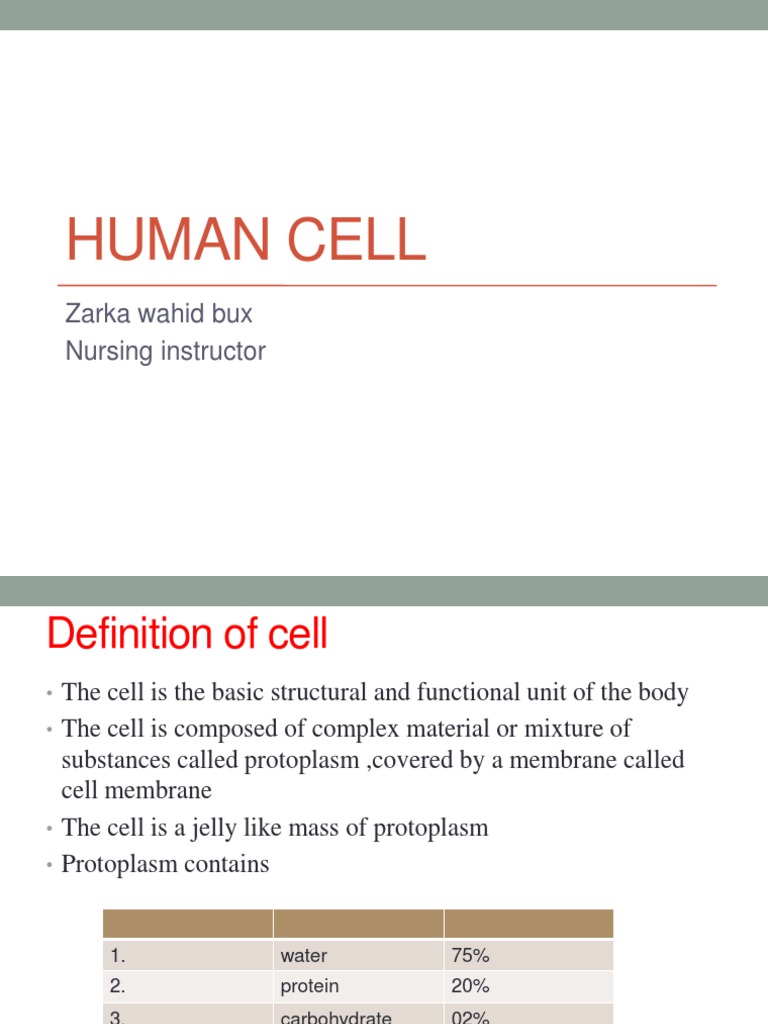 Human Cell | Download Free PDF | Cell Nucleus | Cell (Biology)