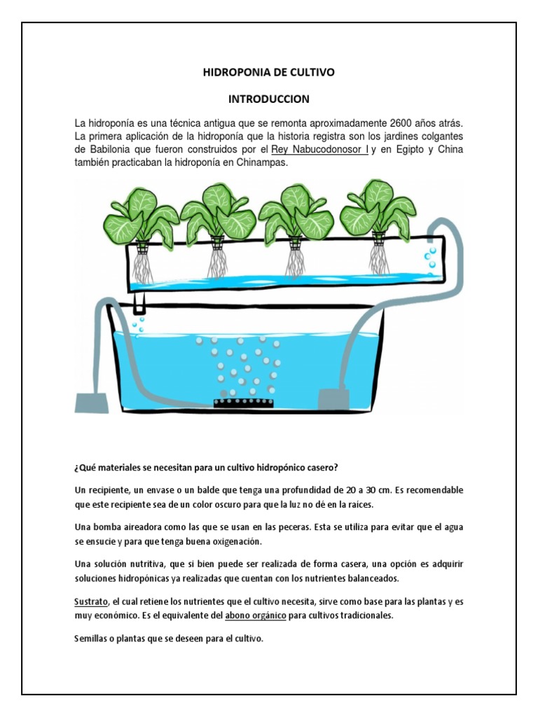 Hidroponia DE CULTIVOS | PDF | Hidroponia | Agricultura