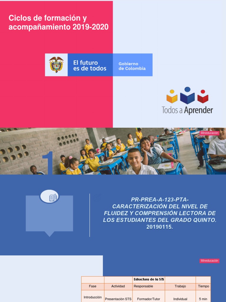 Presentación - Caracterización de Fluidez y Comprensión | PDF ...