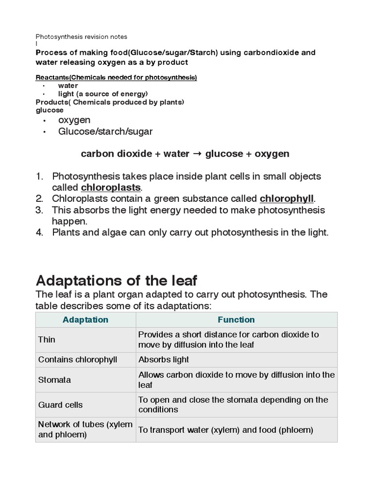 Photosynthesis Revision Note | PDF | Digestion | Photosynthesis