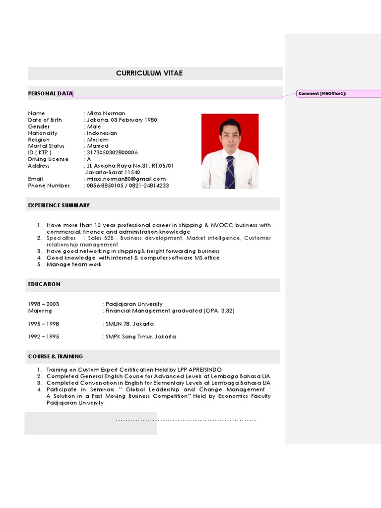 CV Mirza Norman 2019 | PDF | Sales | Shipping Service