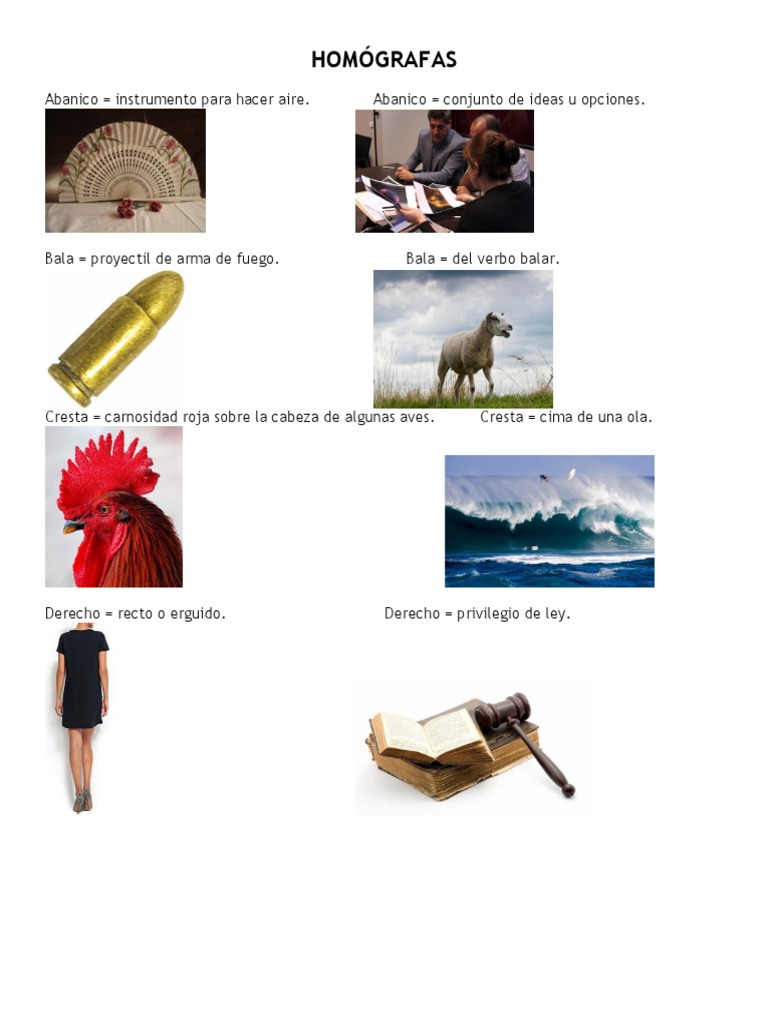15 Palabras Homofonas y 15 Palabras Homografas Con Imagen | PDF