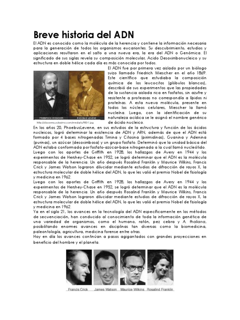 Breve Historia Del ADN | PDF | Francis Crick | Adn