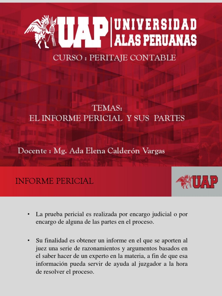 Estructura del Informe Pericial Contable | PDF | Testigo experto ...