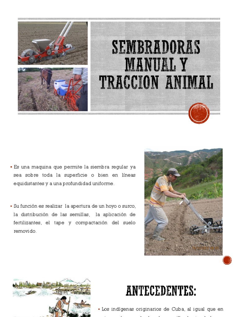 Tipos de Sembradoras Manuales | PDF | Siembra | Semilla