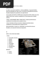 Fórmulas Vertebrales de Animales | PDF