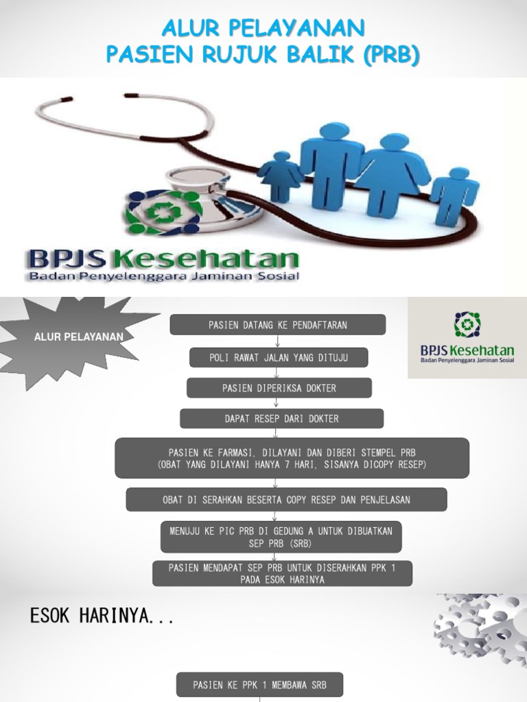 Alur Pelayanan PRB Kronis | PDF