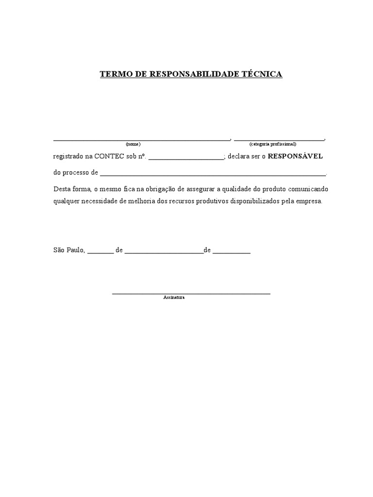 Modelo de Termo de Responsabilidade Técnica | PDF | Negócios
