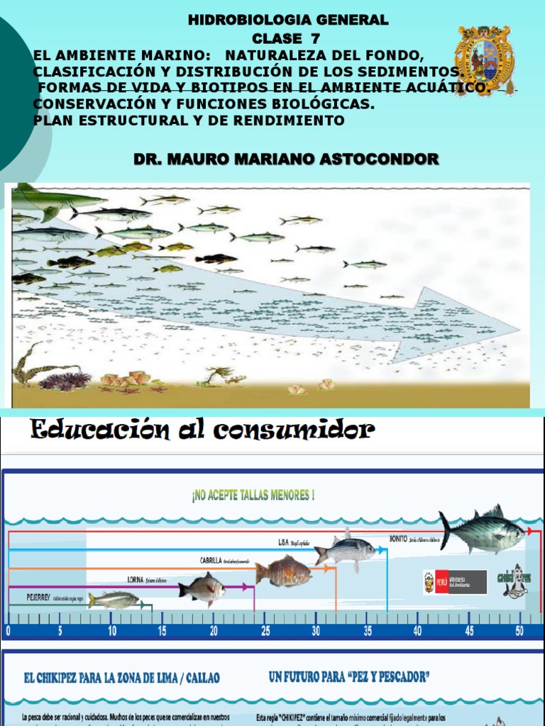 Clase 7 Hidrob | Descargar gratis PDF | Fondo del mar | Ecología