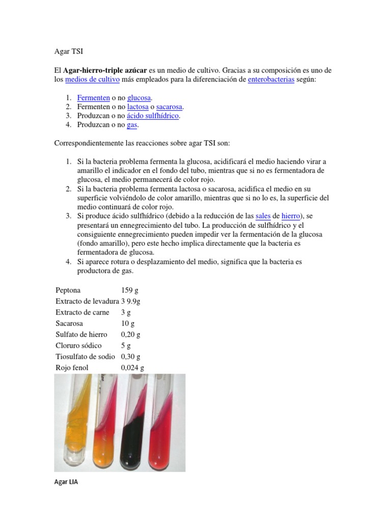 Agar TSI | PDF | Lisina | Enzima