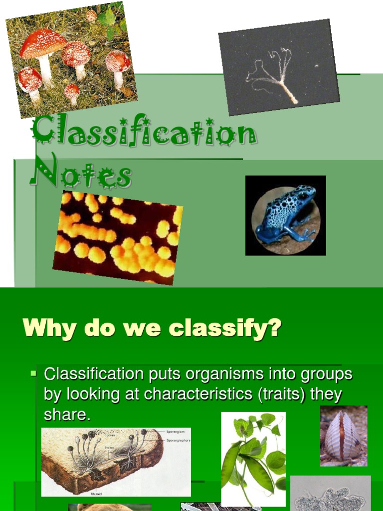 Classification Taxonomy Powerpoint | Organisms | Cell (Biology)