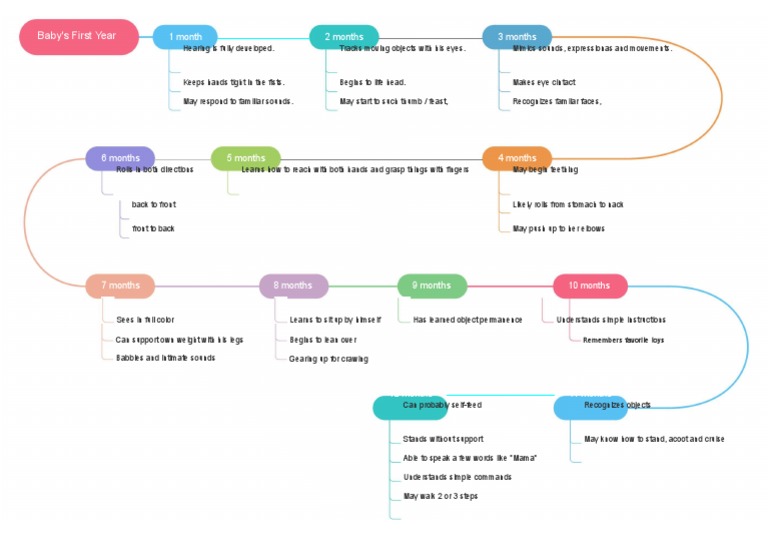 Baby First Year Timeline | PDF | Cognitive Science | Cognition
