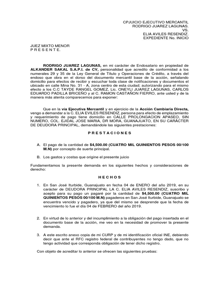 Modelo Demanda Mercantil | PDF | Demanda judicial | Principios éticos