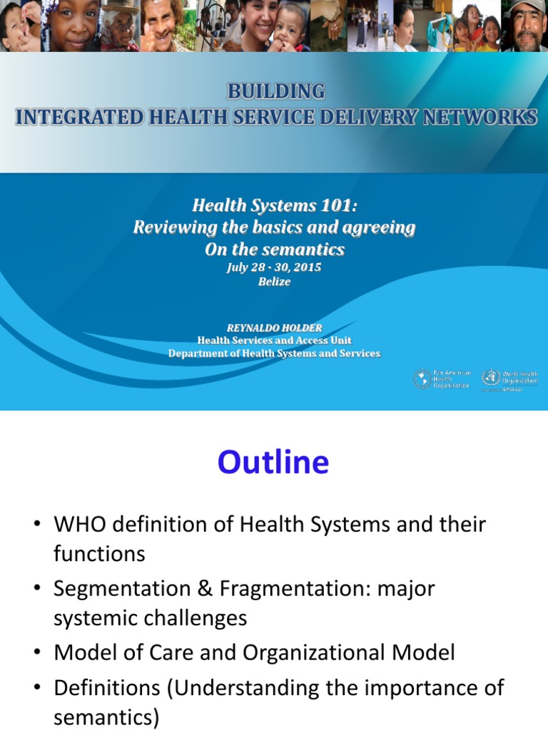 Building Integrated Health Service Delivery Networks | PDF | Health ...