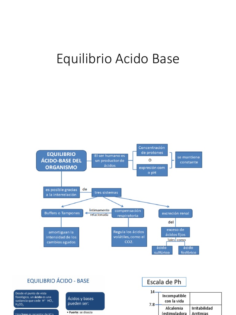 Equilibrio Ácido Base | PDF | Solución tampón | Riñón