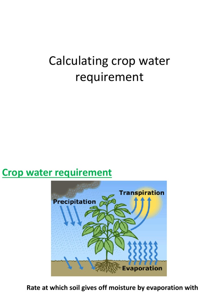 Crop Water Requirement Calculation | PDF | Evapotranspiration | Agriculture