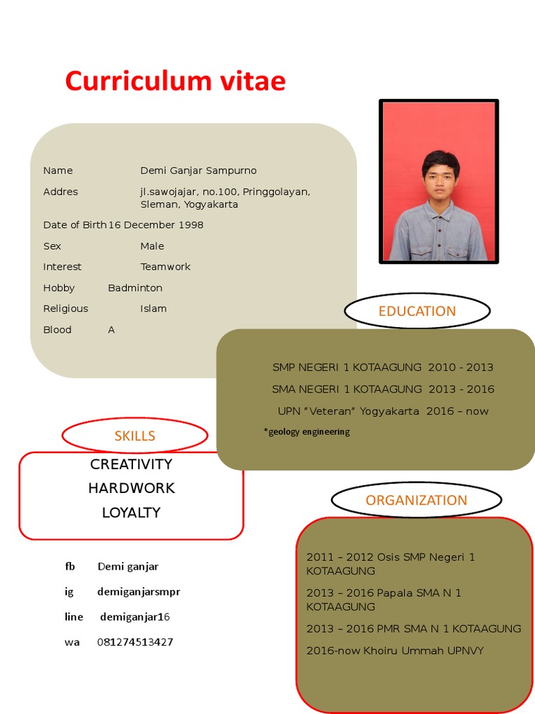 CV Demi | PDF